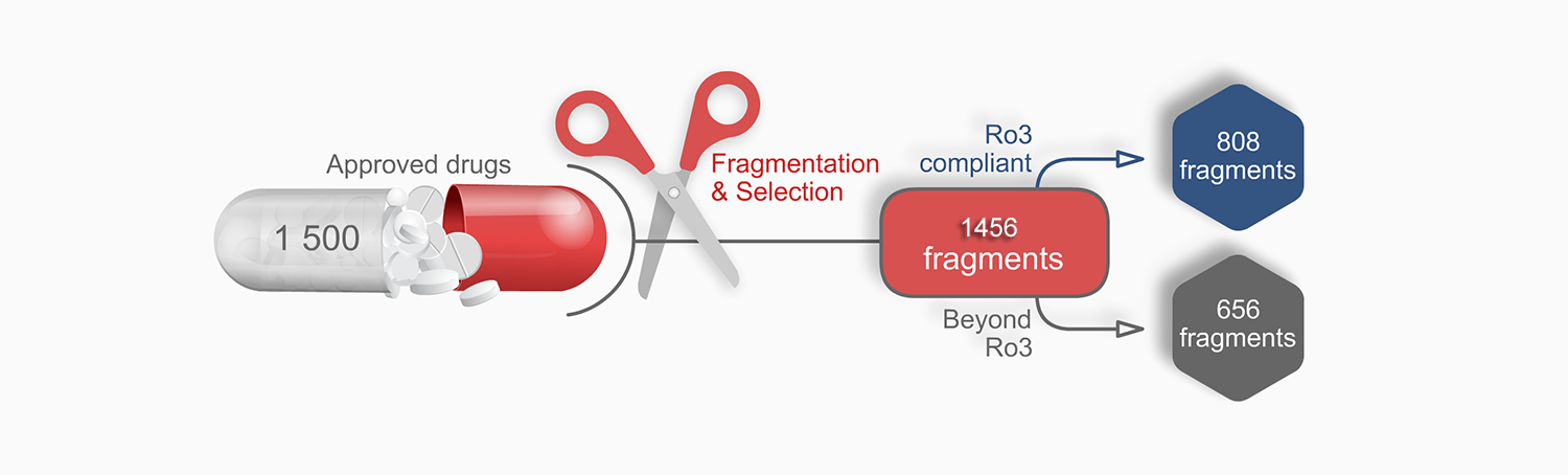 Prestwick Drug-Fragment Library - Prestwick Chemical Libraries