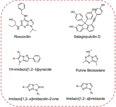 Custom Synthesis - Prestwick Chemical Libraries